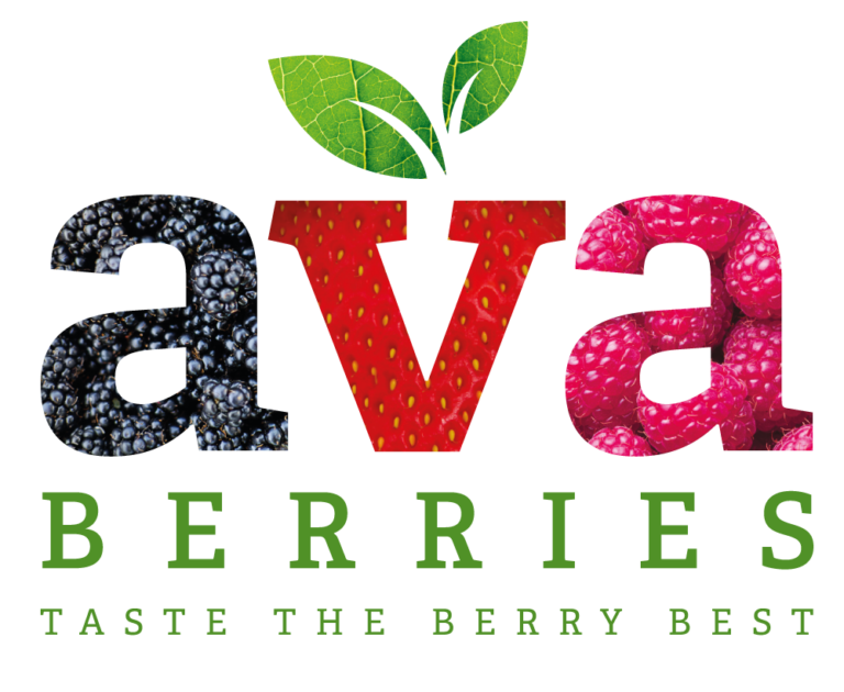 Strawberry Fizz Mocktail - AVA Berries - Taste the berry best